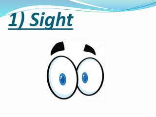 Sight | PPTX
