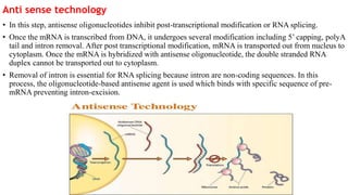 control of gene expression by sigma factor and post transcriptional ...