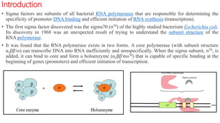 control of gene expression by sigma factor and post transcriptional control | PPTX