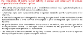 control of gene expression by sigma factor and post transcriptional ...