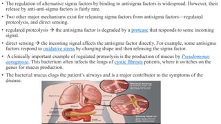 control of gene expression by sigma factor and post transcriptional ...