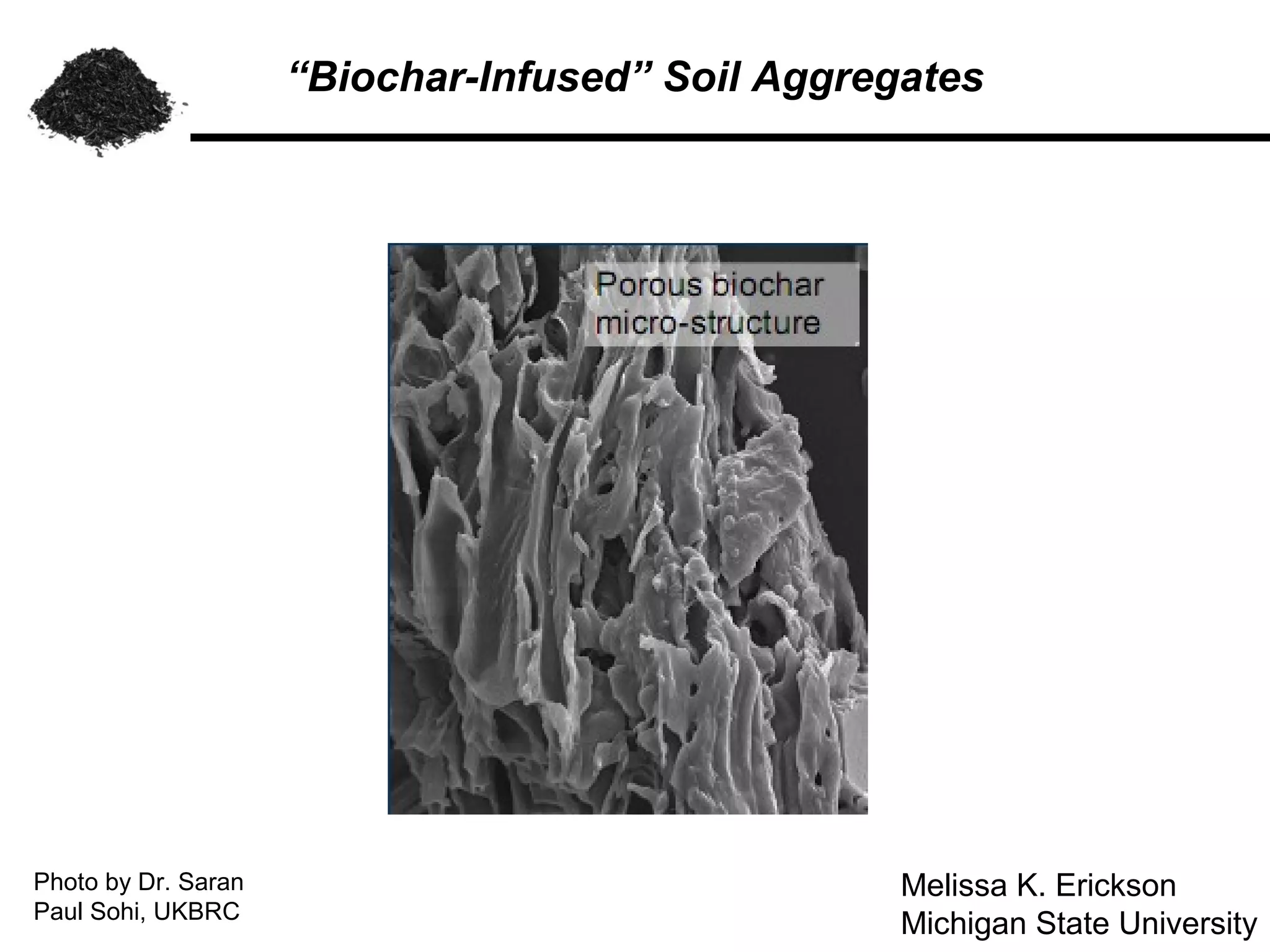 "Biochar Infused" Soil Aggregates | PPT