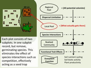 The Role of Plant Dispersal on Ecosystem Function | PPTX