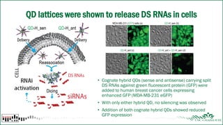 [Sigma Xi] Bioresponsive quantum dot lattices for applications in ...