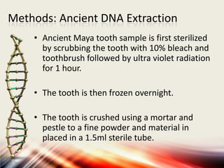 Sigma Xi Online Research Presentation | PPTX