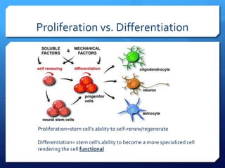 Sigma xi presentation | PPTX