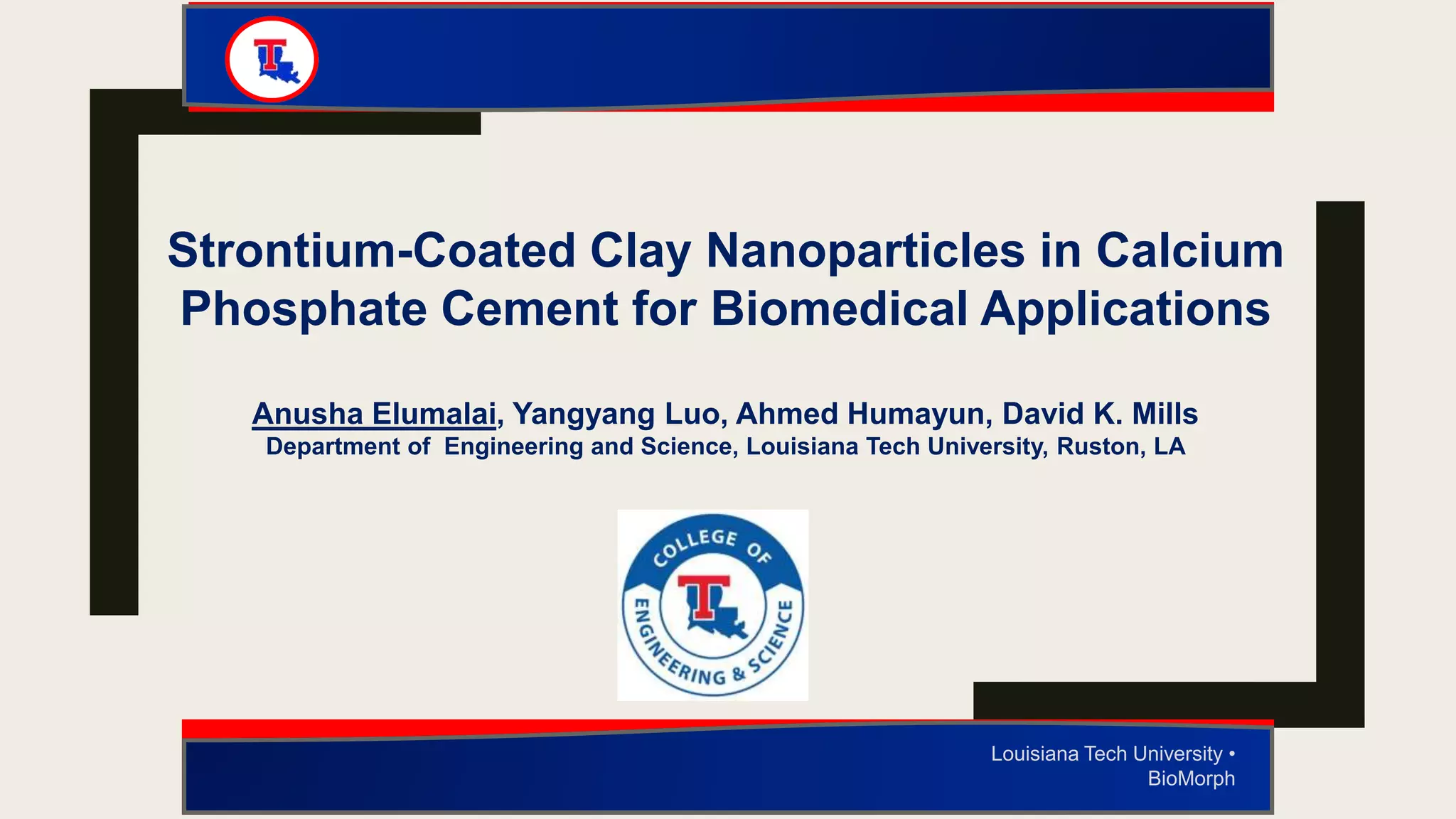 Strontium-Coated Clay Nanoparticles in Calcium Phosphate Cement for ...
