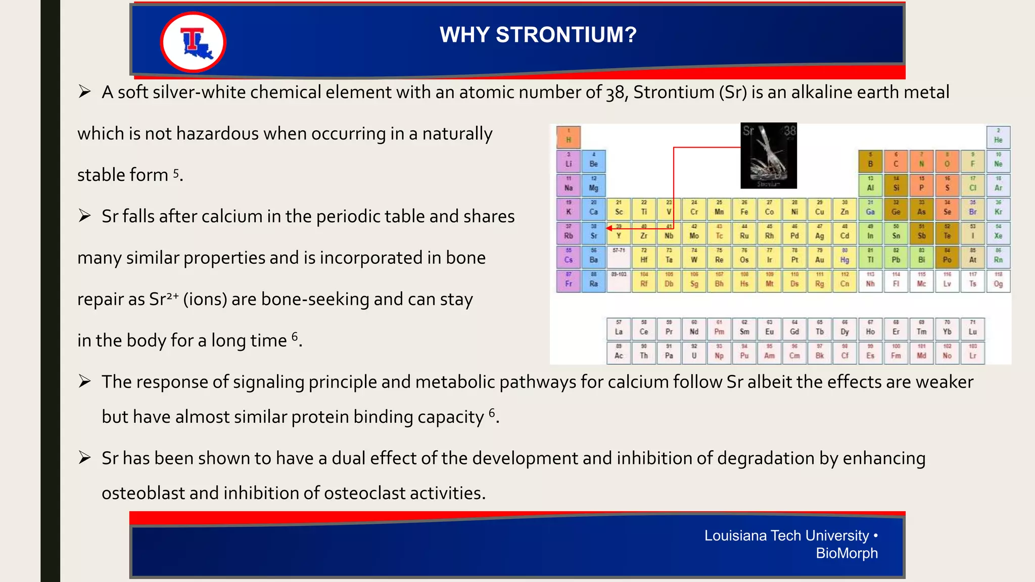 Strontium-Coated Clay Nanoparticles in Calcium Phosphate Cement for ...