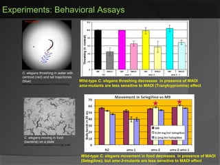 Sigma Xi Research Showcase 2013 - Reeto | PPT