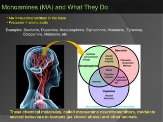 Sigma Xi Research Showcase 2013 - Reeto | PPT