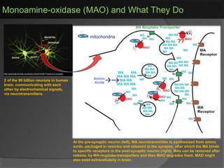 Sigma Xi Research Showcase 2013 - Reeto | PPT