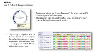 Sigma xi studentresearchshowcase2018 | PPT