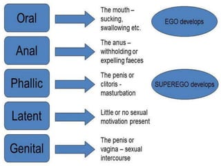 Freud Stages Of Development Chart