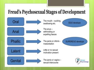 Freud Stages Of Development Chart