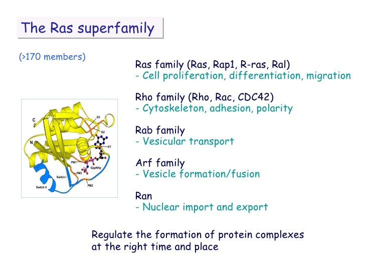 Signaaltransductie Bos Deel2