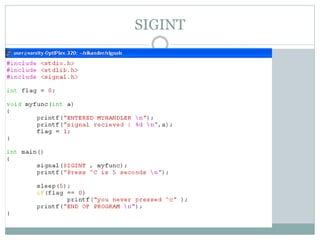 Signal | PPTX | Programming Languages | Computing