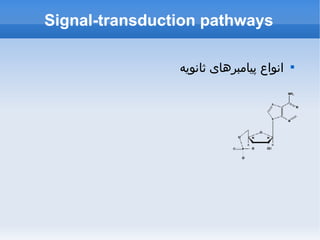 Signal transduction | PPT