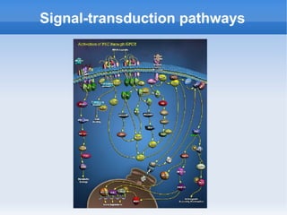 Signal transduction | PPT