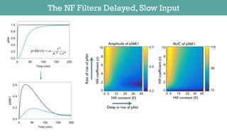 Signal Discrimination in Cells Through A Negative Feedback | PDF