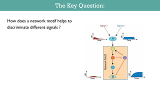 Signal Discrimination in Cells Through A Negative Feedback | PDF