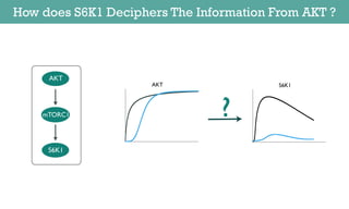 Signal Discrimination in Cells Through A Negative Feedback | PDF
