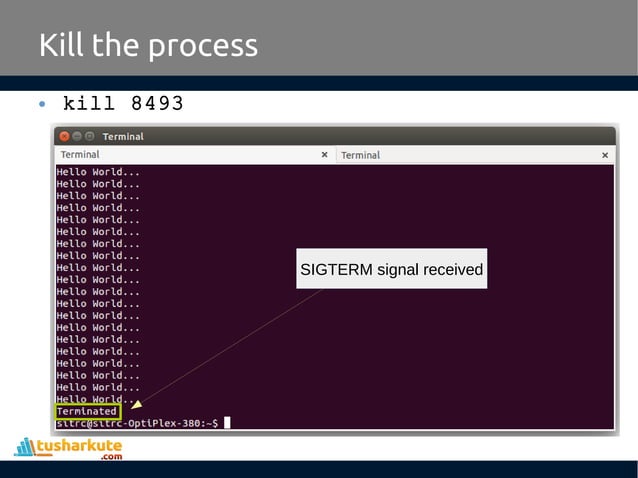 Signal Handling in Linux