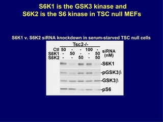 Signaling events triggered by inactivation of the TSC1-2 Complex ...