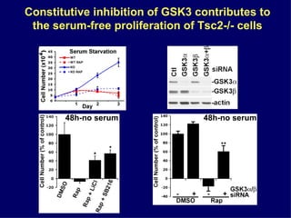 Signaling events triggered by inactivation of the TSC1-2 Complex ...