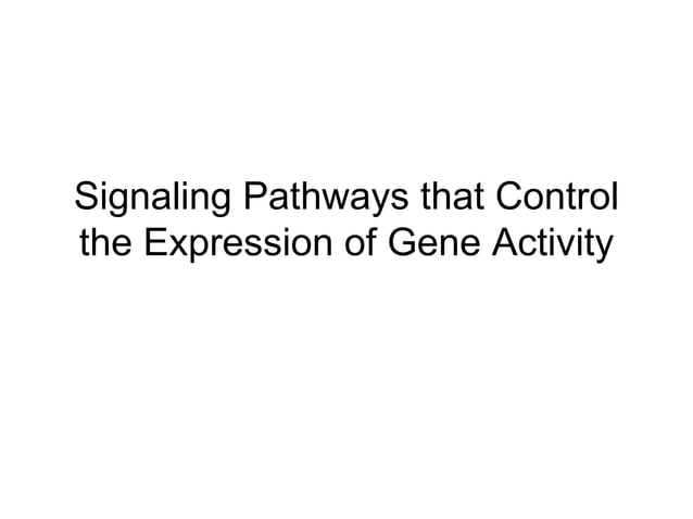 Signaling Pathways | PPT