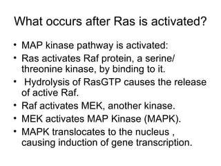 Signaling Pathways | PPT