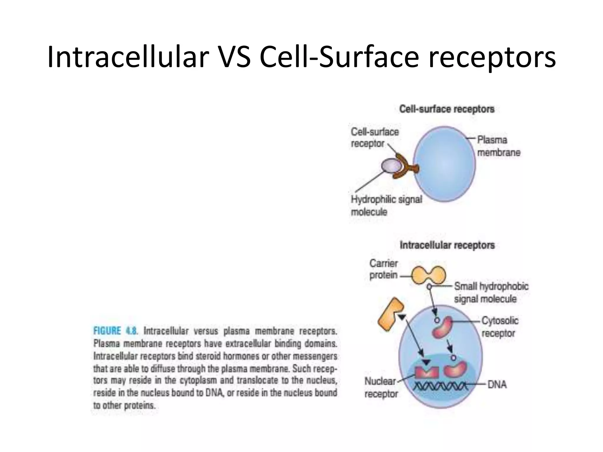Signaling by hormones using surface receptors and second.pptx