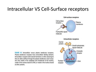 Signaling by hormones using surface receptors and second.pptx