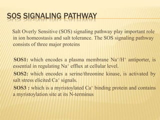 Signaling mechanisms due to salinity stress | PPTX