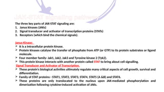 signaling pathway,cAMP pathway, IP3 DAG pathway, MAPK pathway, JAK STAT ...