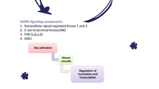signaling pathway,cAMP pathway, IP3 DAG pathway, MAPK pathway, JAK STAT ...