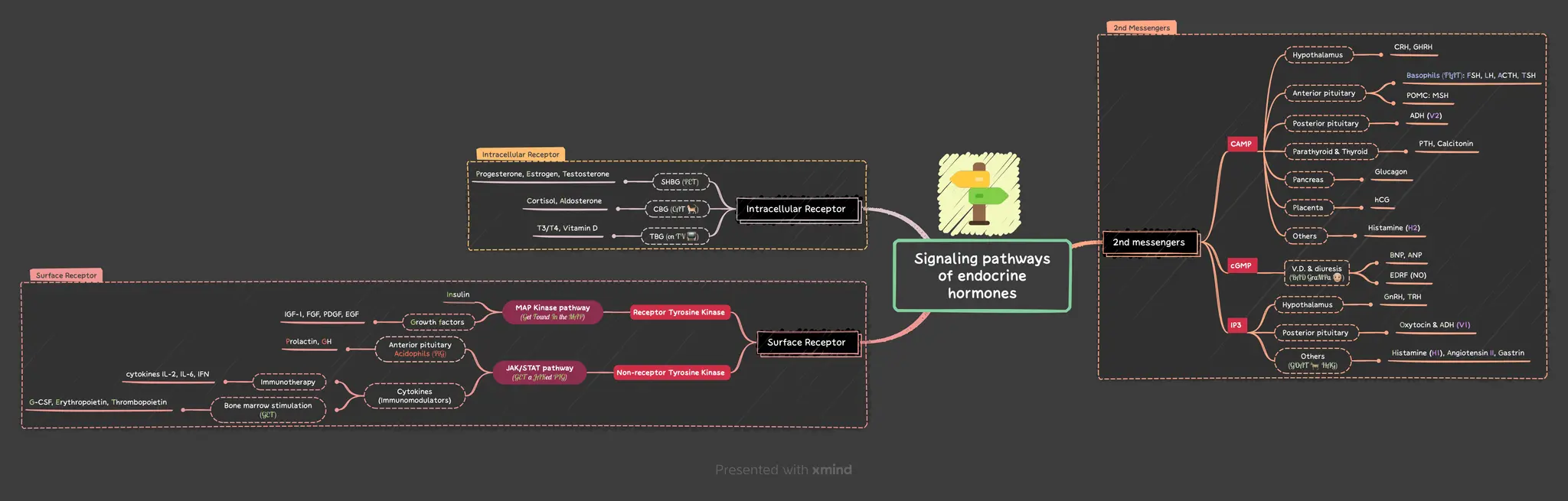 Signaling pathways of endocrine hormones | PDF