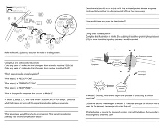 Signaling Practice-Transduction.pdf