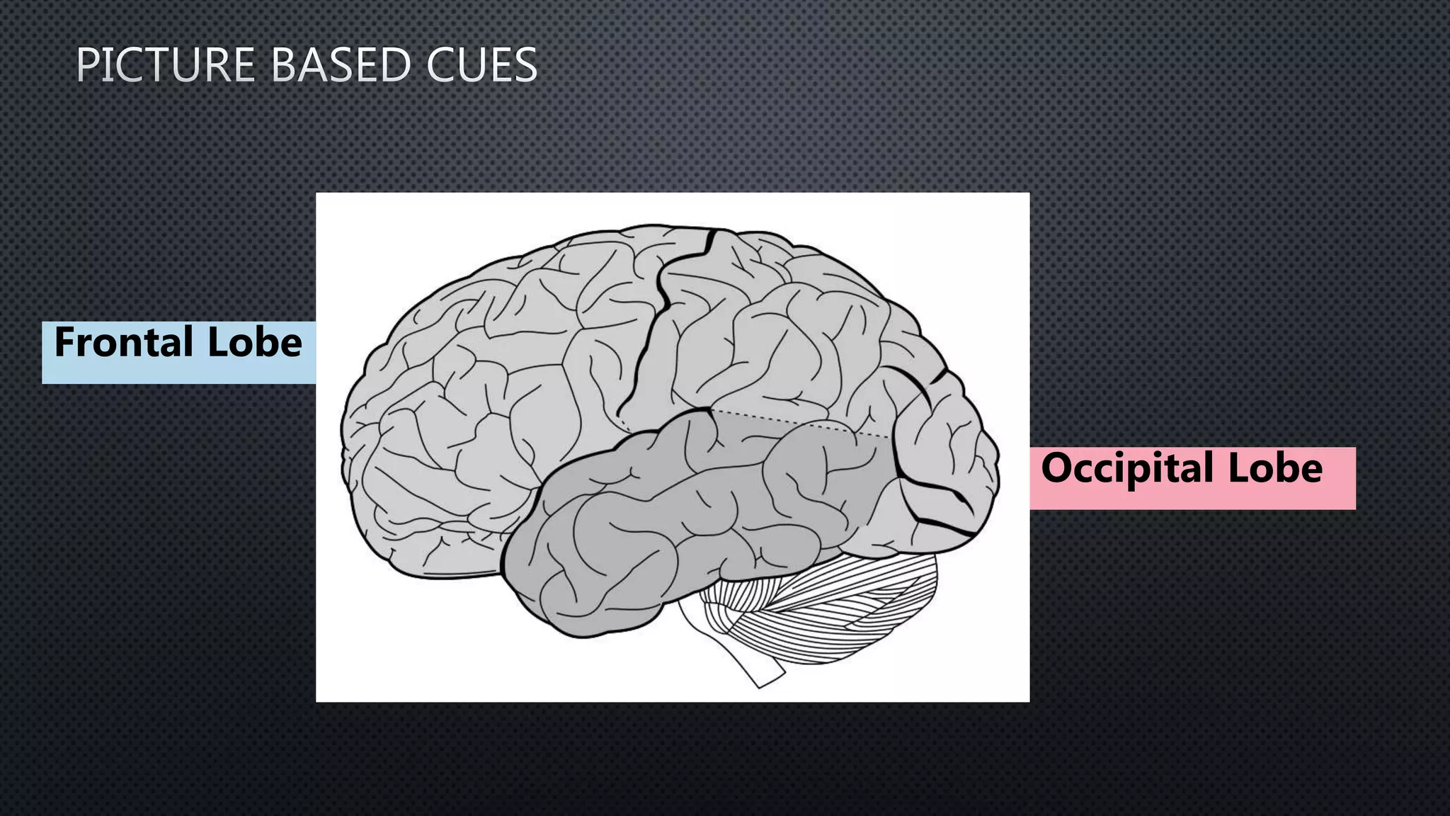 Signaling Principle In Multimedia Learning | PPTX