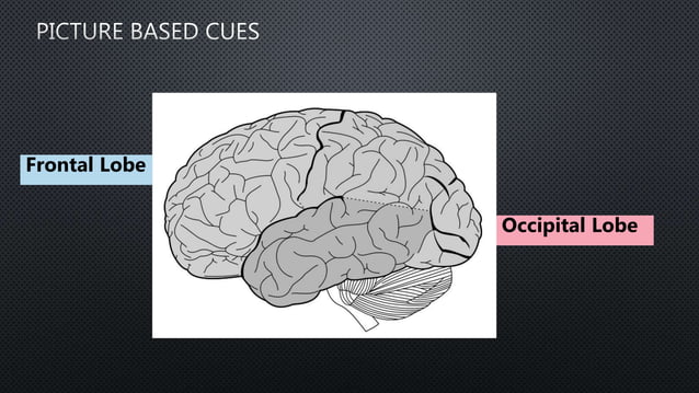 Signaling Principle In Multimedia Learning | PPTX