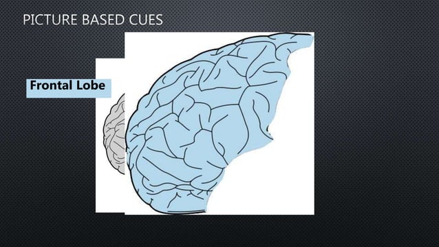 Signaling Principle In Multimedia Learning | PPTX