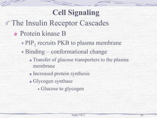 signalling.ppt12345789009875431234578754345 | PPT
