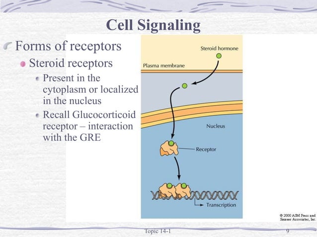 signalling (1).ppt12345777788888885555554 | PPT