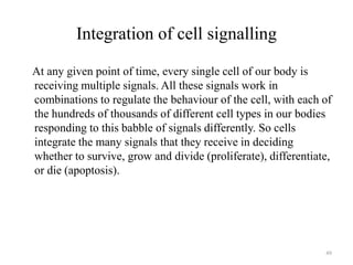 Signalling mechanism in cell growth | PPT