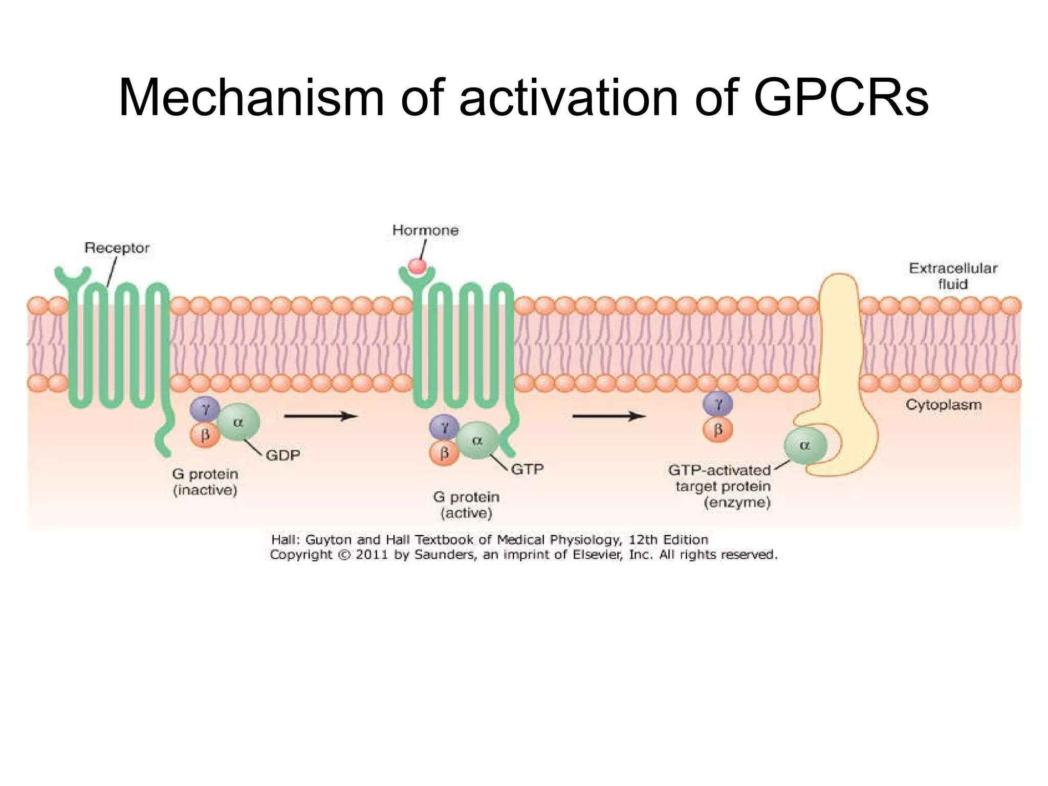 Signalling mechanism of hormones and neuroendocrine | PPT