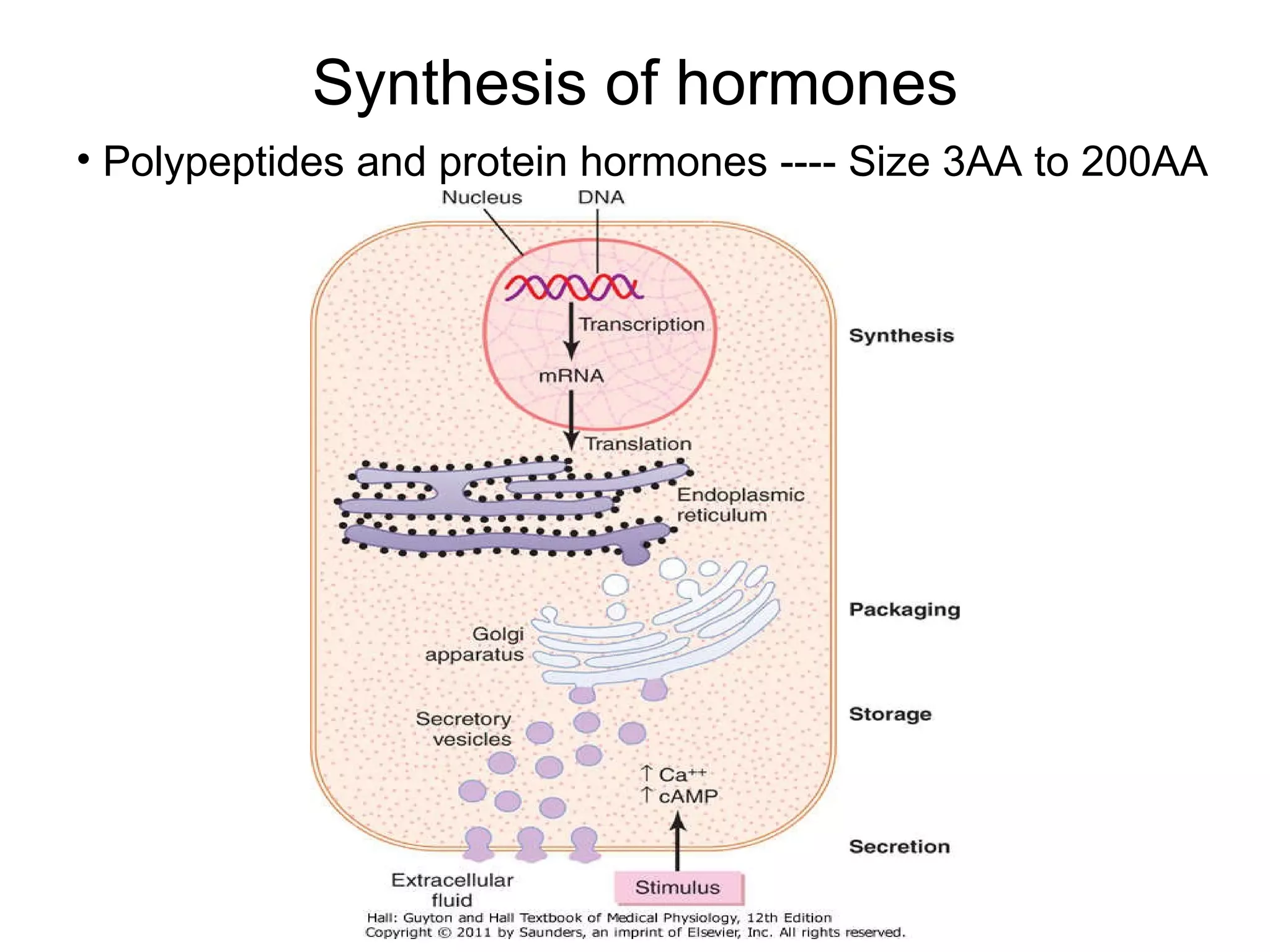 Signalling mechanism of hormones and neuroendocrine | PPT