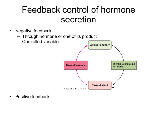 Signalling mechanism of hormones and neuroendocrine | PPT