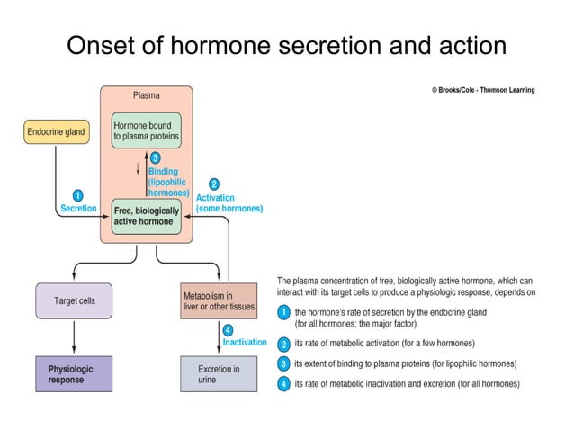 Signalling mechanism of hormones and neuroendocrine | PPT