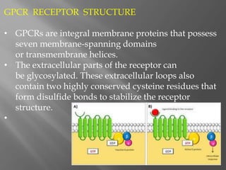 GPCR.pptx
