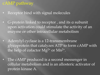 GPCR.pptx