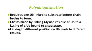 Signalling through ubiquitin ligase | PPTX